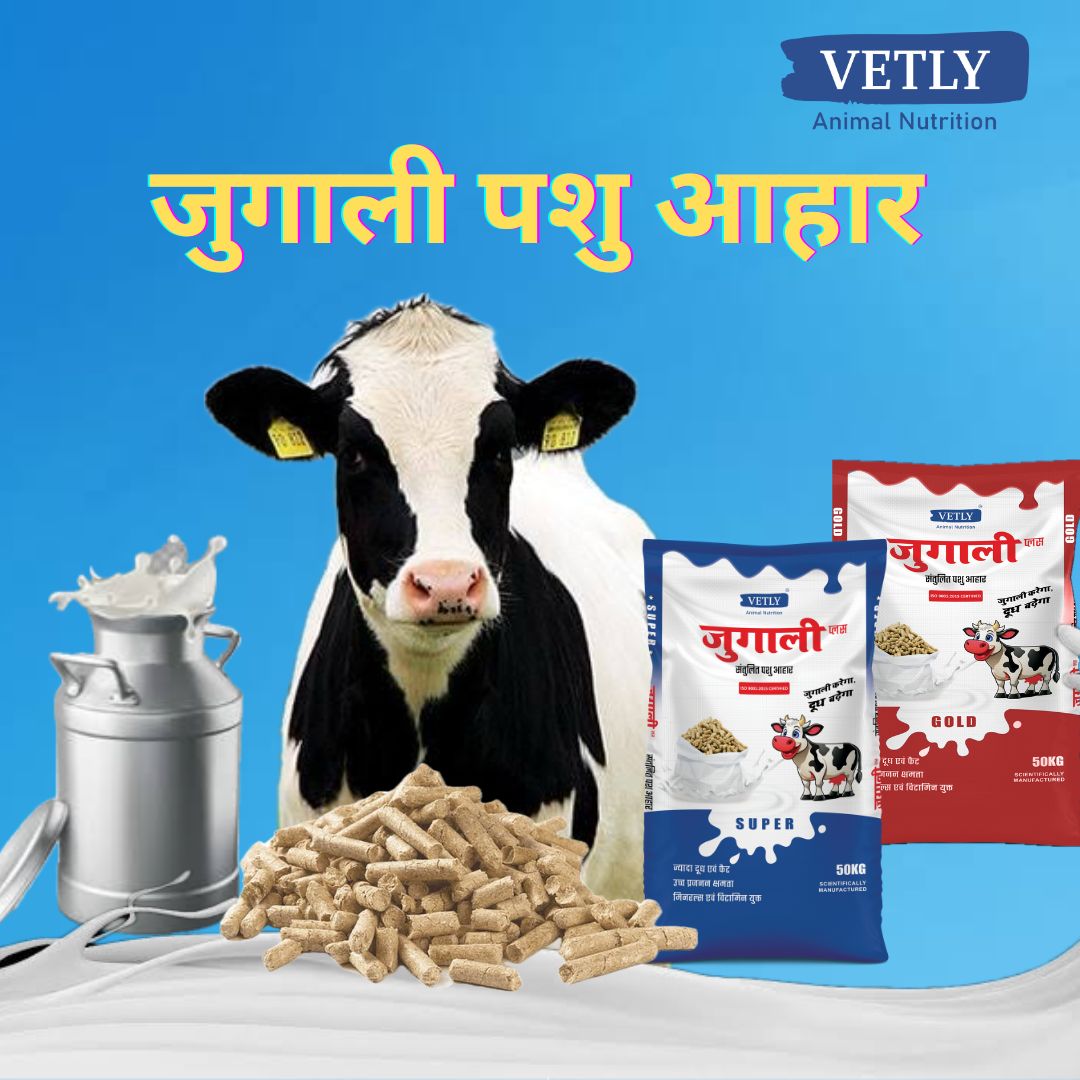 GALLERY – VETLY ANIMAL NUTRITION